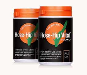 Rosehip vs Glucosamine for Osteoarthritis: A Look at the Clinical ...